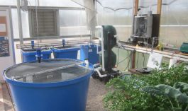 Bubble Bead® Filter - Propulsion Pools