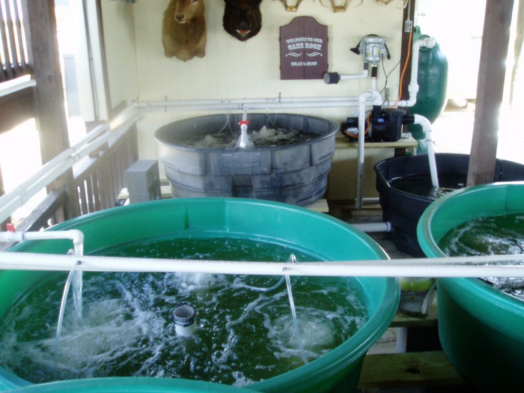 Bubble Bead® Filter - Propulsion Pools